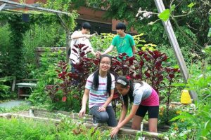 Home - Project: VISION