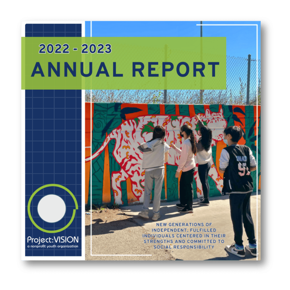 Home - Project: VISION